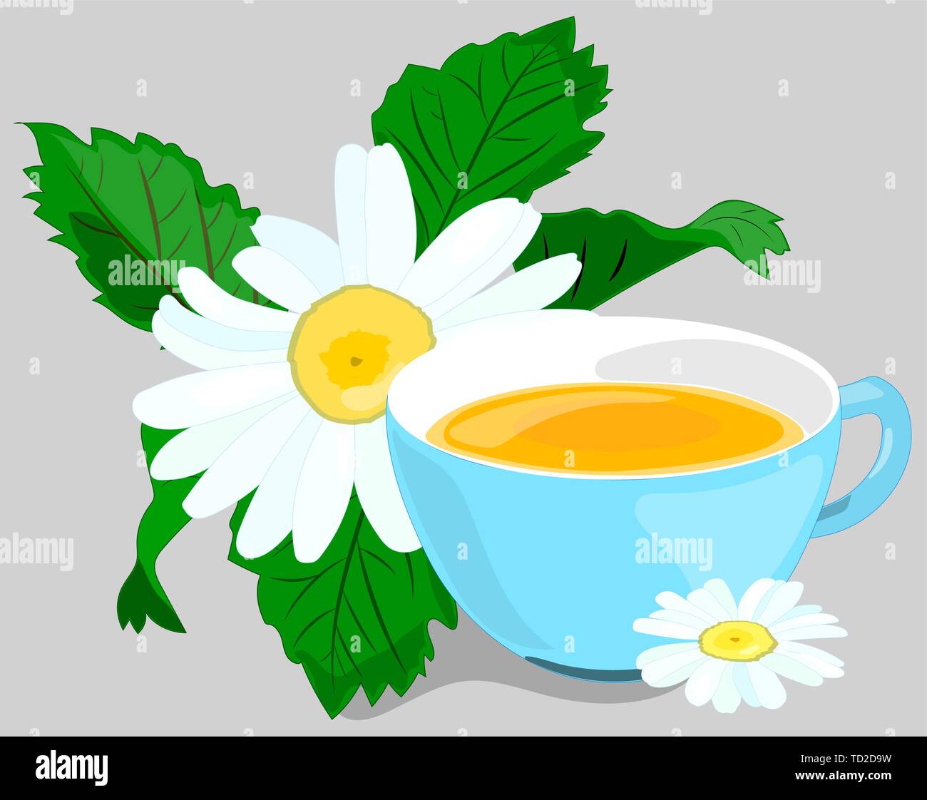 Chamomile. Chamomile tea. Useful medicinal drink from the flowers of ...