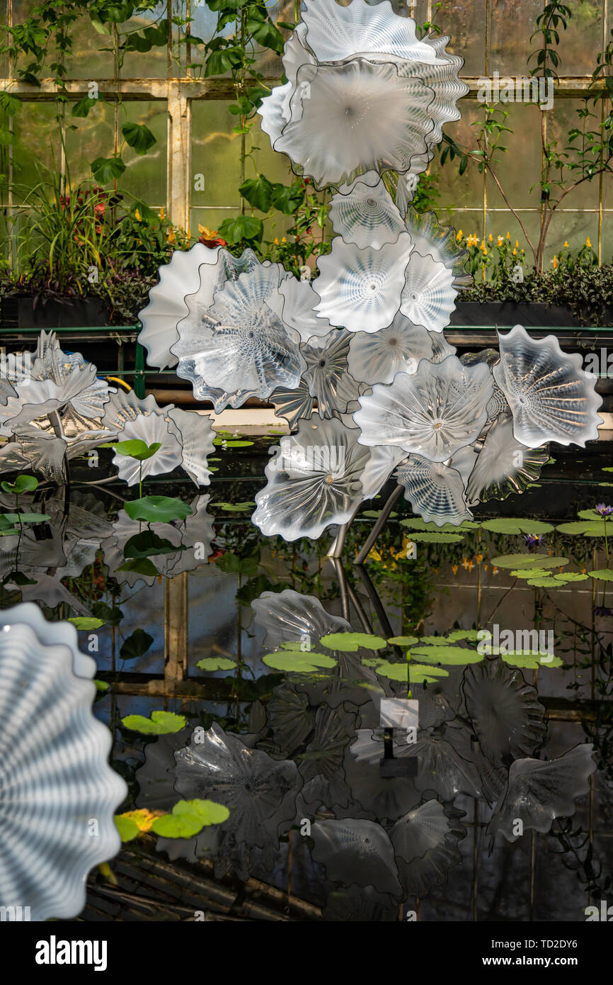 Ethereal White Persian Pond by Dale Chihuly, part of a glass sculpture ...