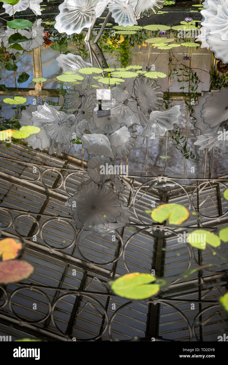 Ethereal White Persian Pond by Dale Chihuly, part of a glass sculpture ...