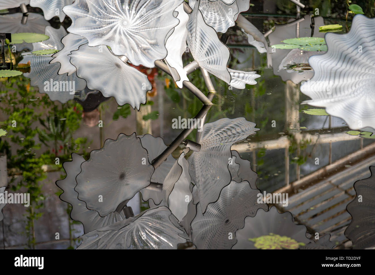 Ethereal White Persian Pond by Dale Chihuly, part of a glass sculpture ...