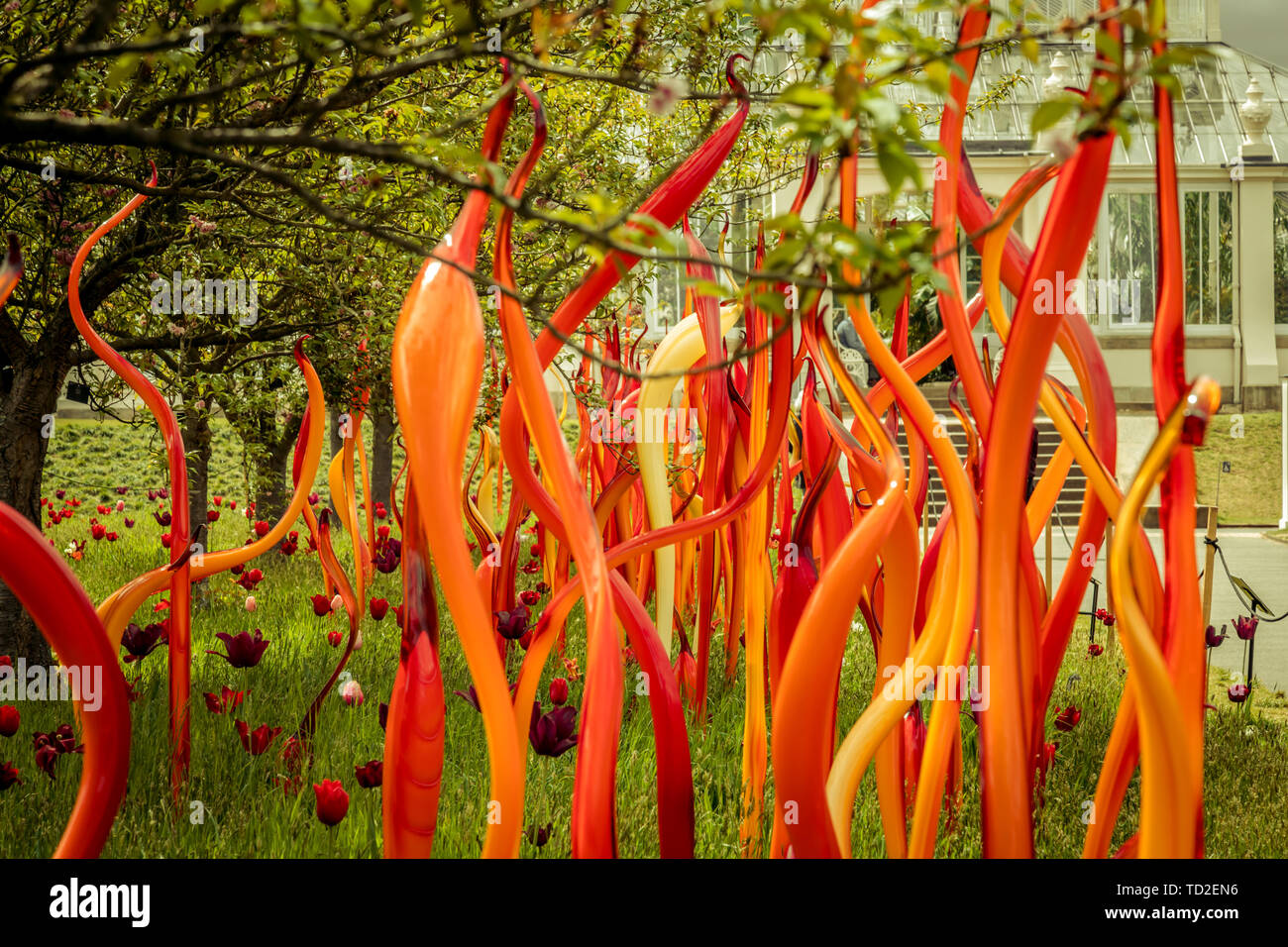 Birch sculpture hi-res stock photography and images - Alamy
