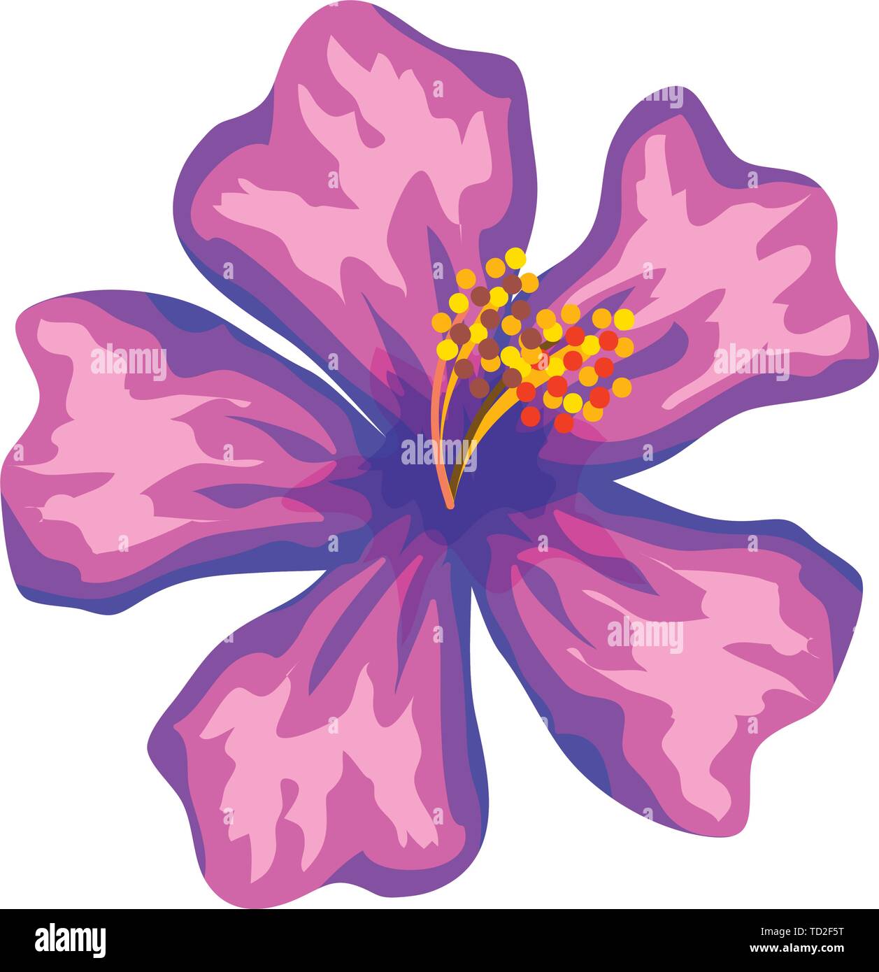 beautiful flower exotic tropical icon Stock Vector Image & Art - Alamy