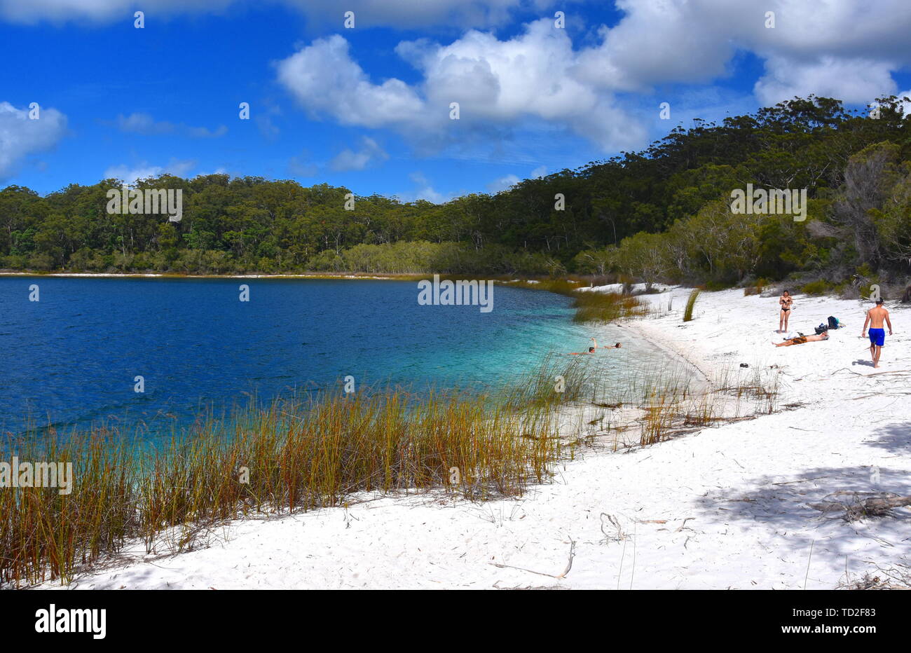 Fraser Island, Australia - Apr 24, 2019. Lake Mackenzie on Fraser ...
