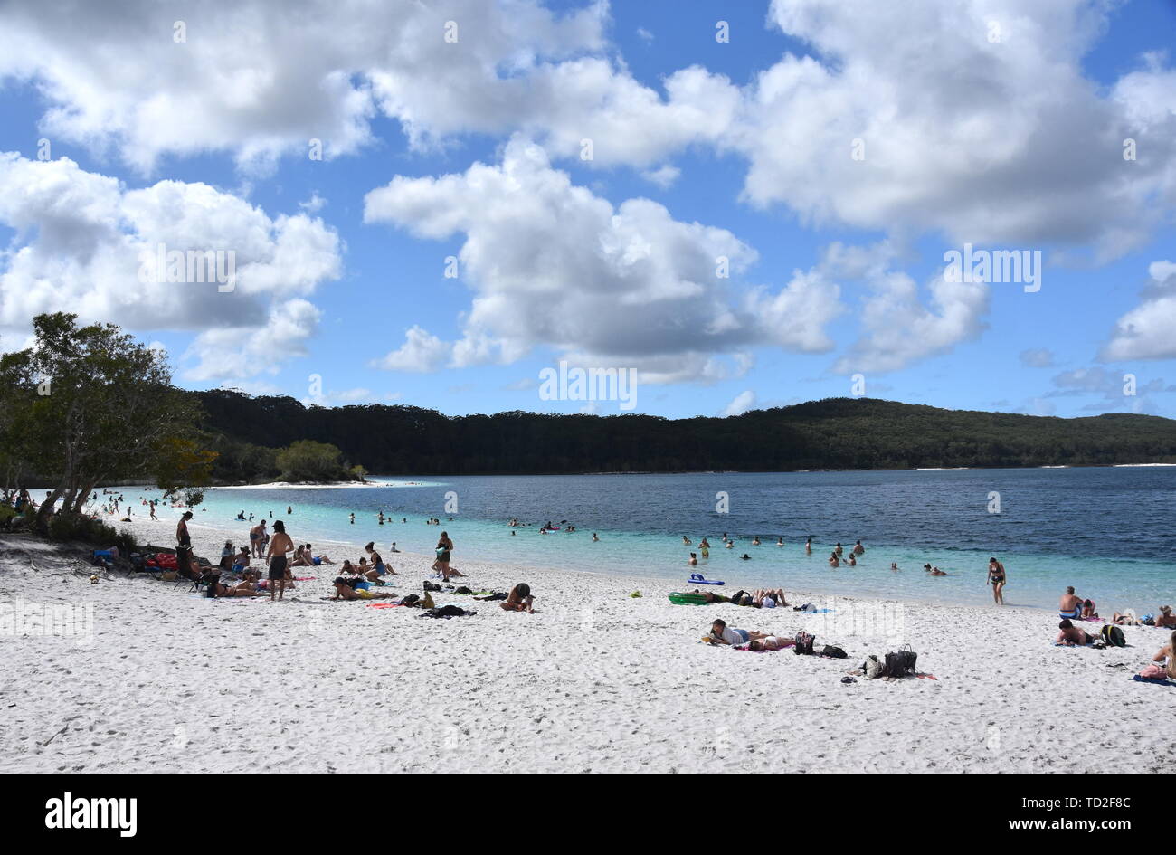 Lake mackenzie, fraser island hi-res stock photography and images - Alamy