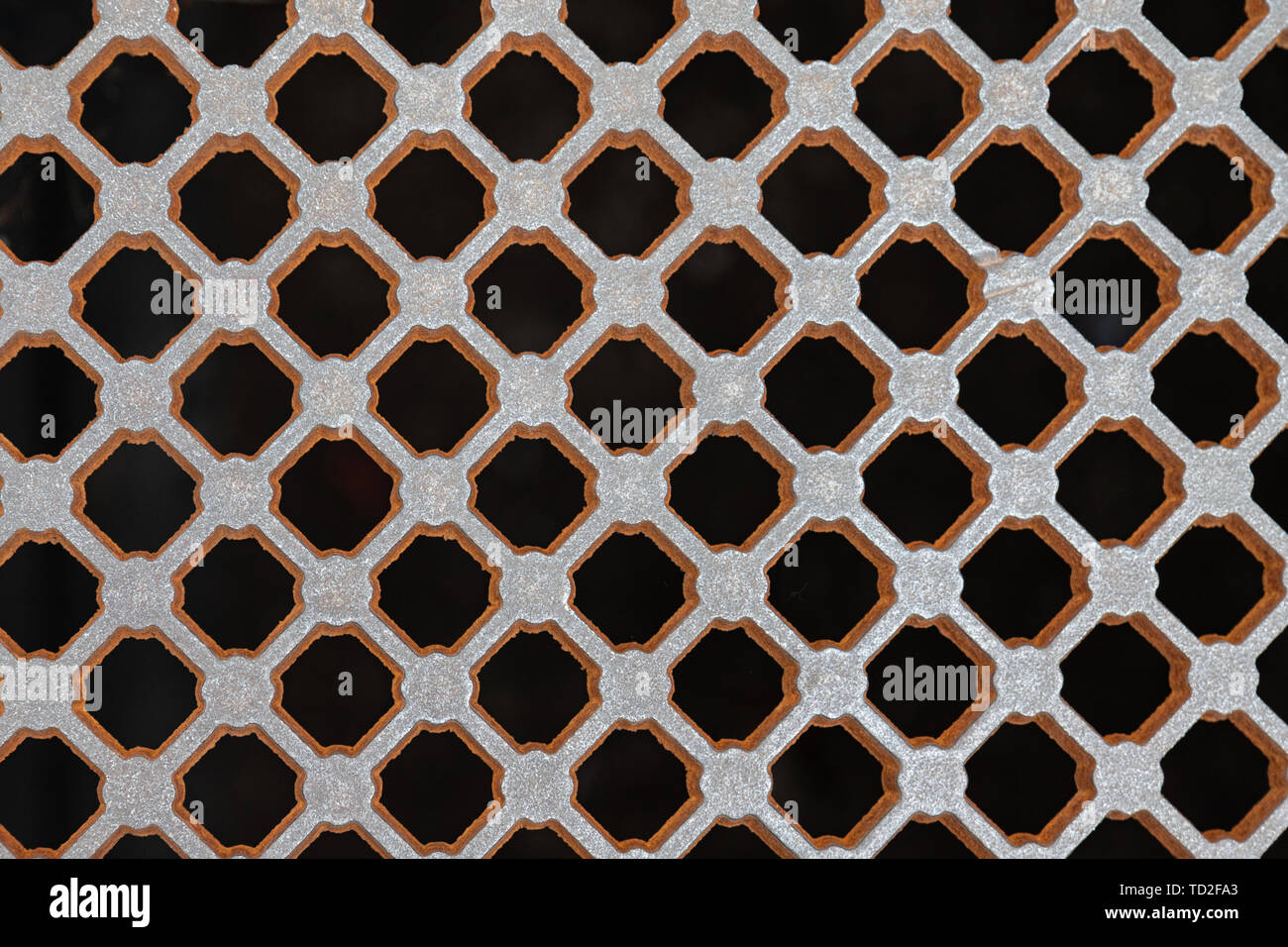 Close up of the pattern of holes in a floor grid in the Temperate House ...