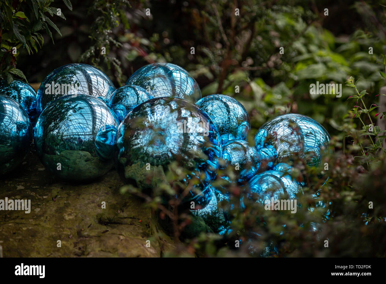 A group of blue reflective balls are part of the glass sculptures by ...