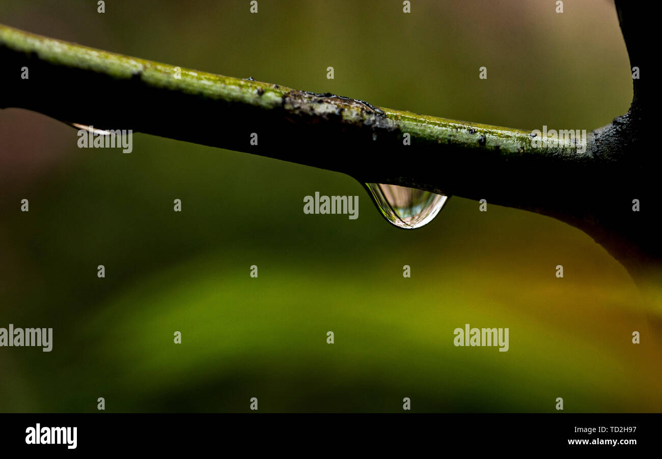 droplets of water Stock Photo - Alamy