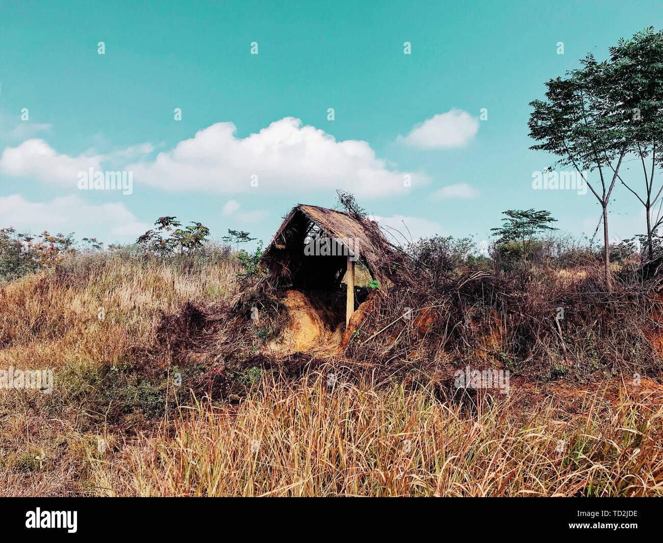 Grass shed weaving buildings hi-res stock photography and images - Alamy