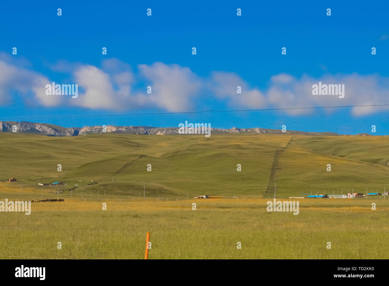 Qinghai lake qinghai lake scenery scenery around the lake hi-res stock ...