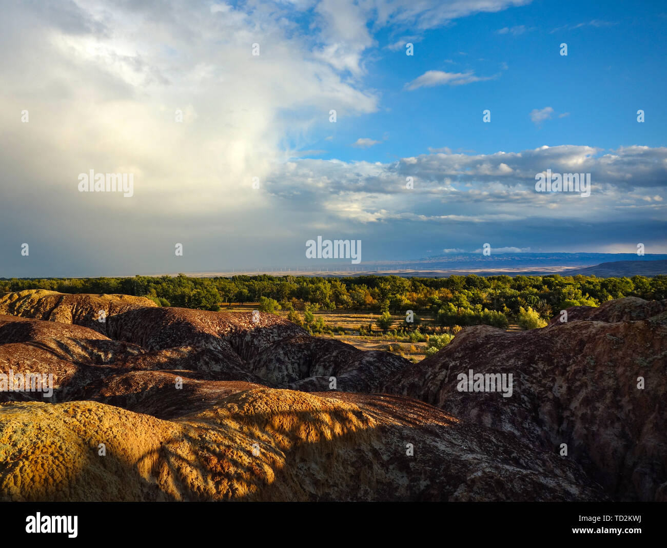 Colorful beach scenery Stock Photo - Alamy