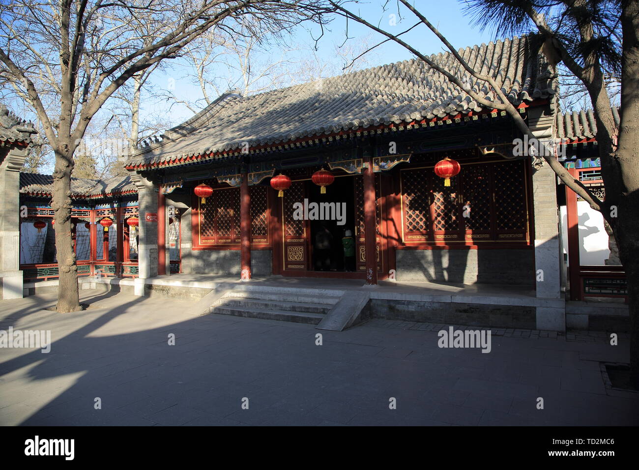 Nine of the Great View Garden of A Dream of Red Mansions: [Xiao Cui'an ...