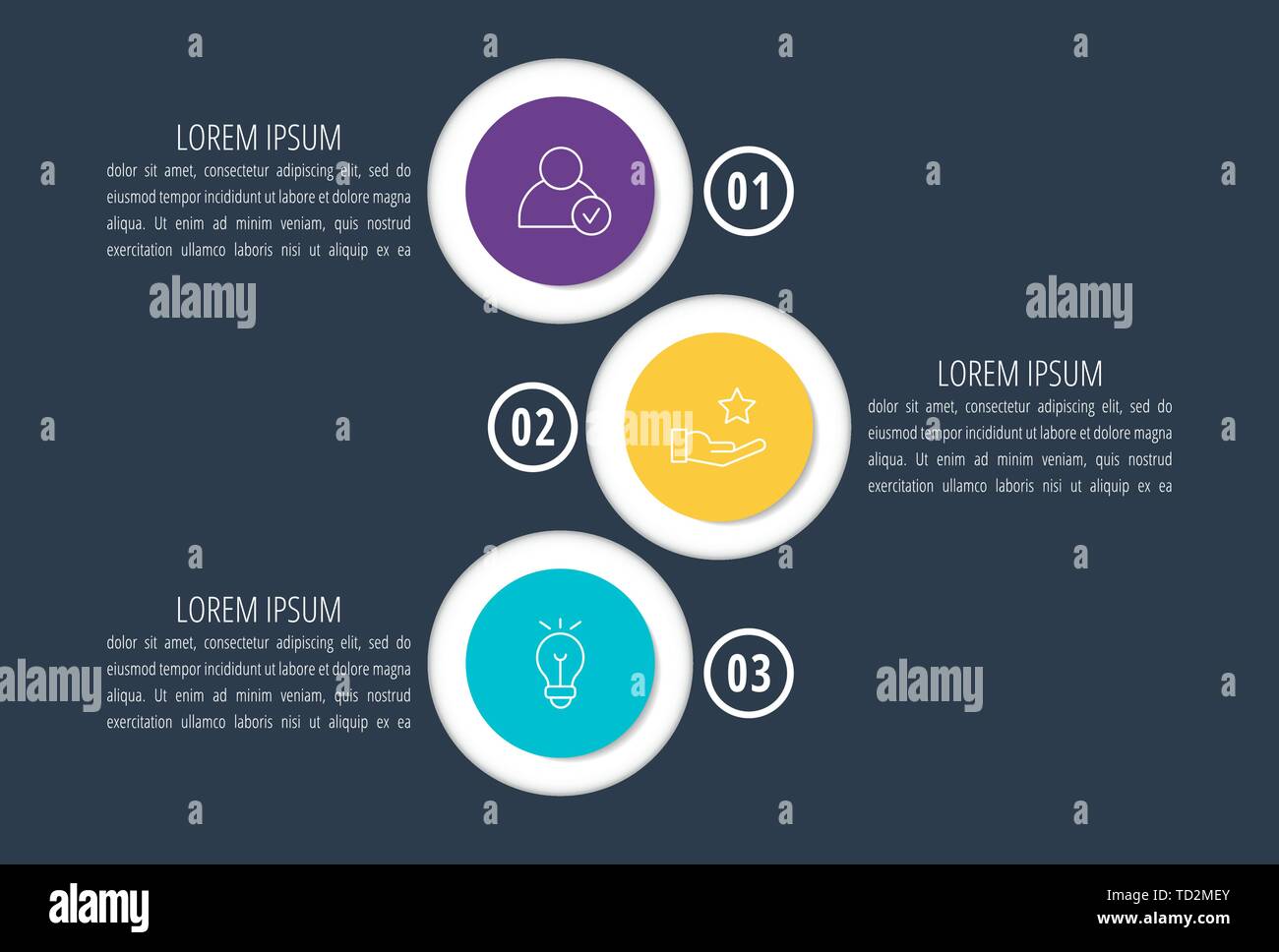 Vector infographic flat template circles for three label, diagram, graph, presentation. Business ...