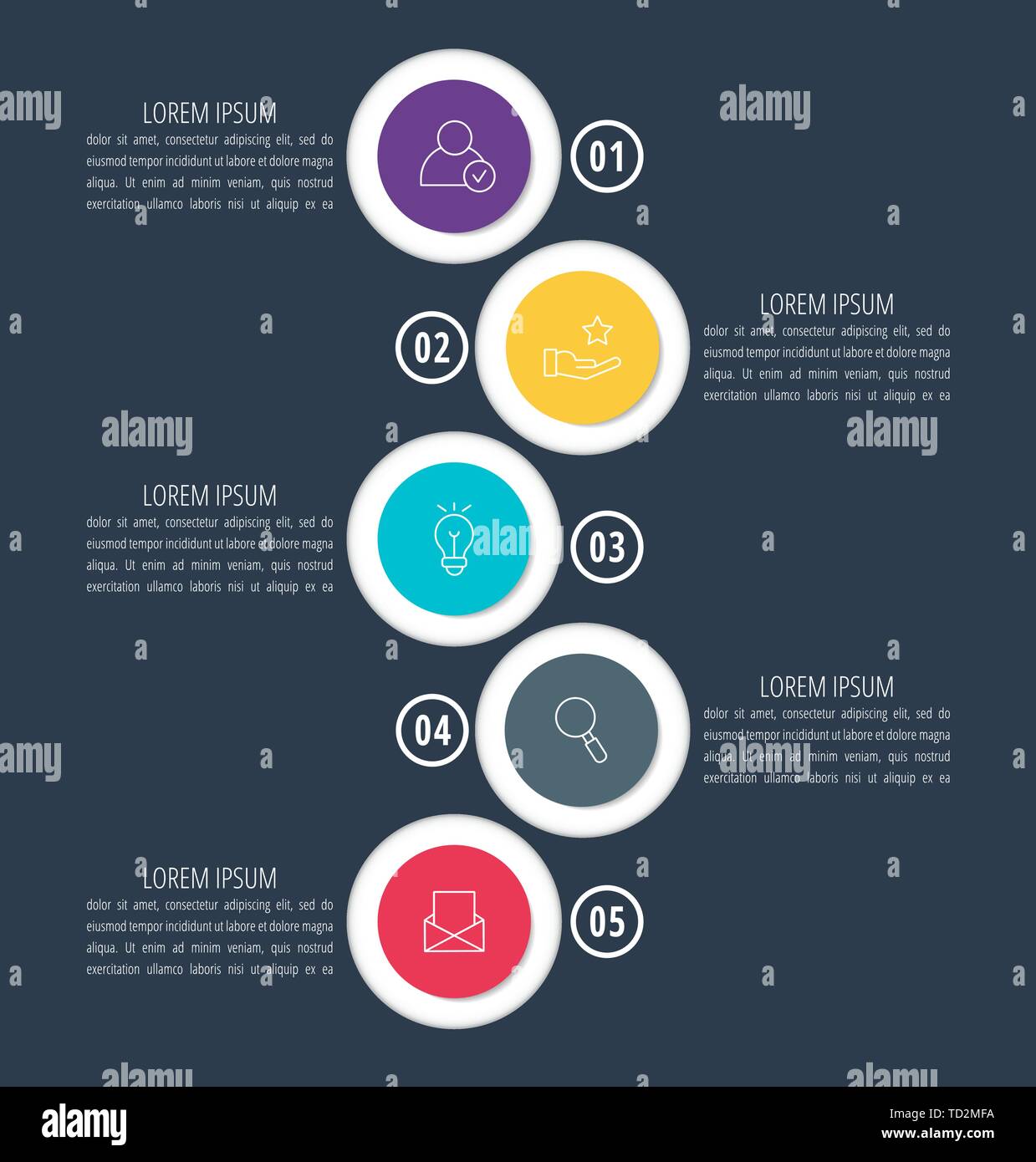 Vector infographic flat template circles for five label, diagram, graph, presentation. Business ...