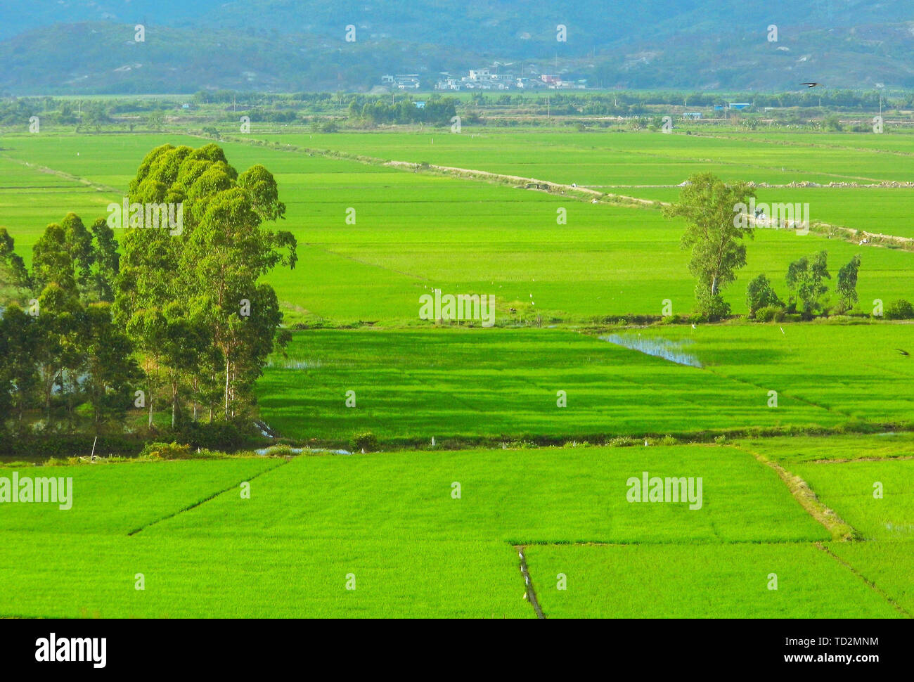 Rural and pastoral areas hi-res stock photography and images - Alamy