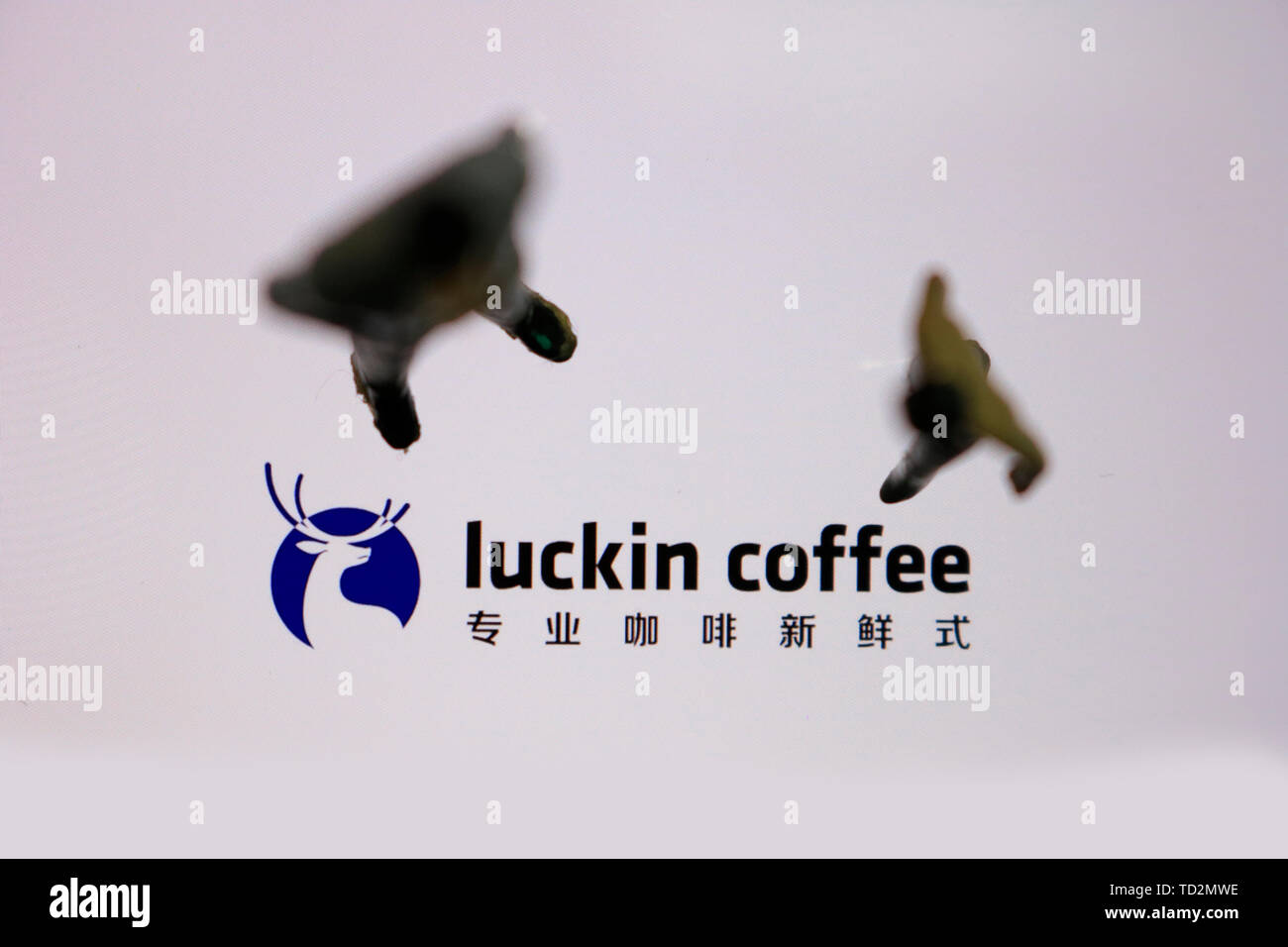 Ruixing coffee hi-res stock photography and images - Alamy