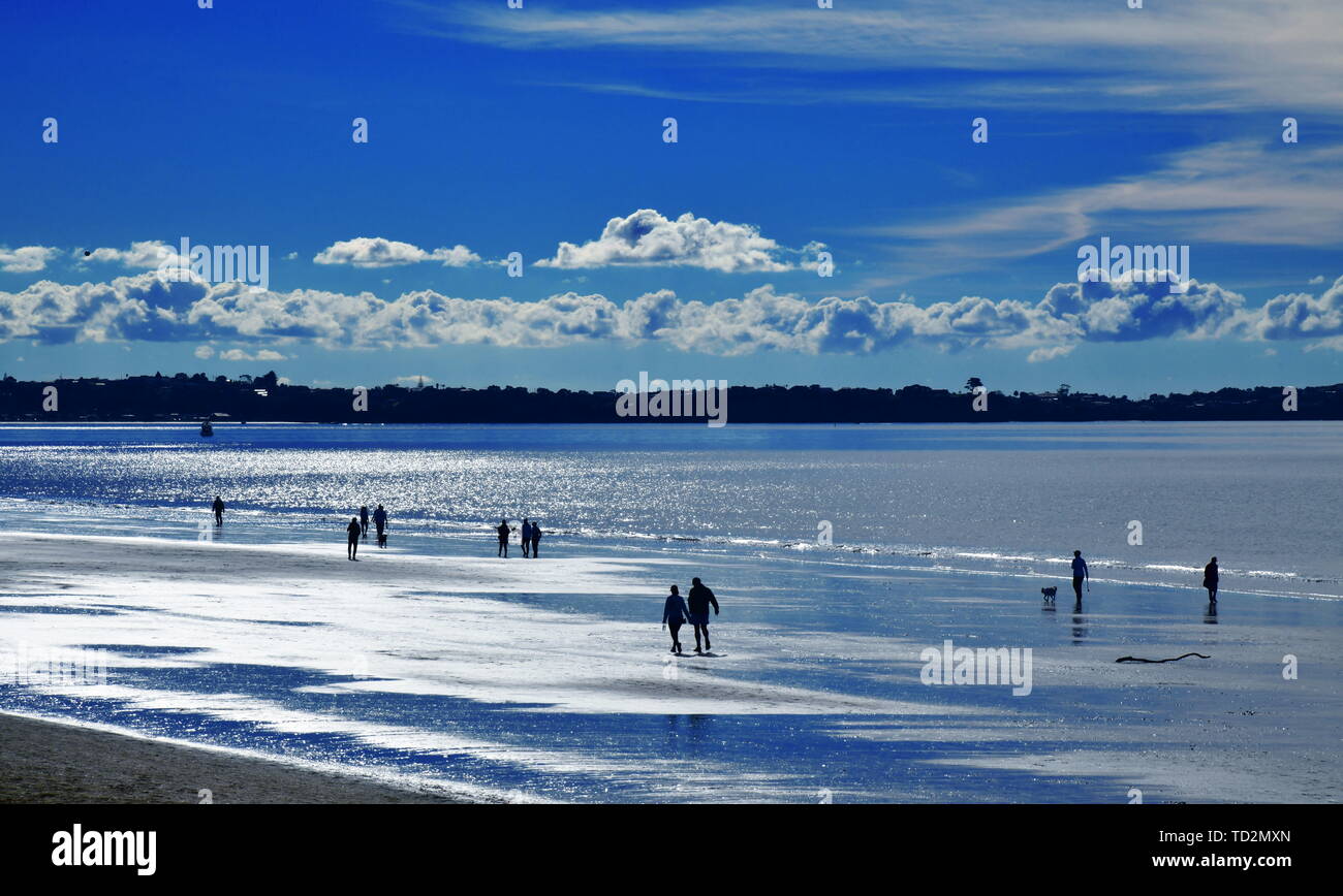 Photographed at Long Beach, Auckland Stock Photo - Alamy