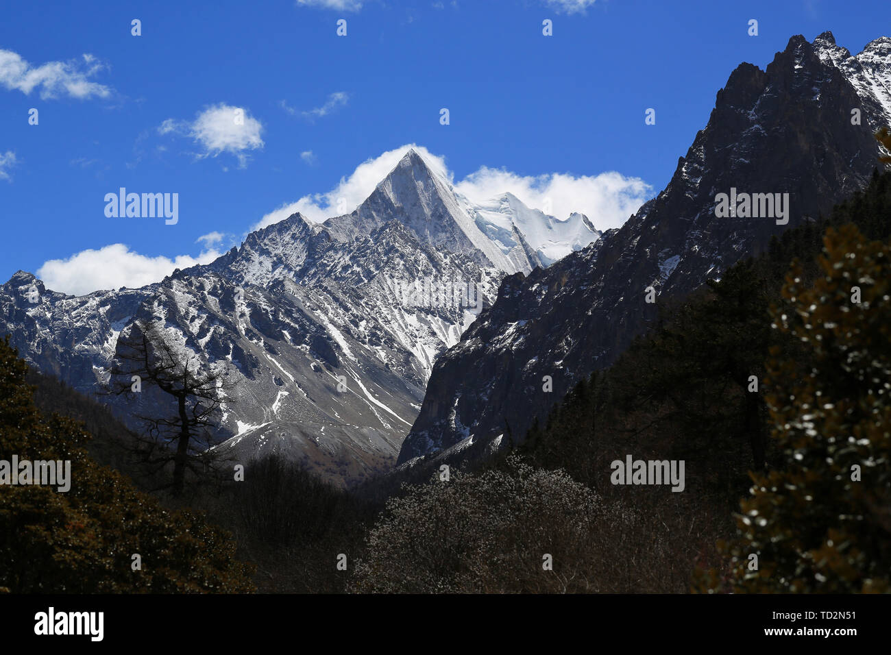 Yaden hi-res stock photography and images - Alamy