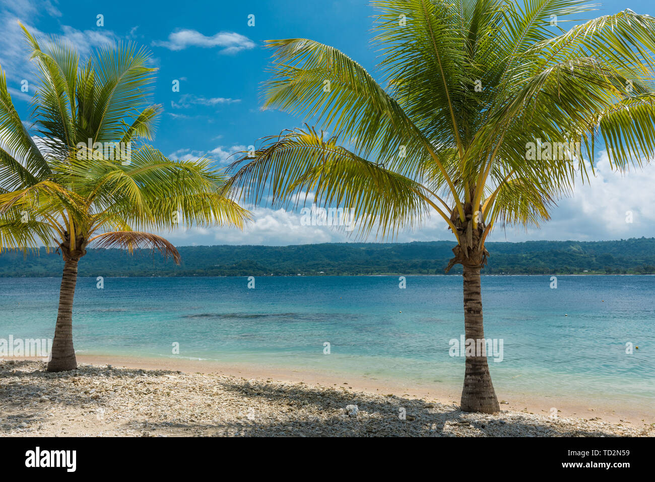 Beach with palm trees, sunny tropical Efate island, Vanuatu Stock Photo ...