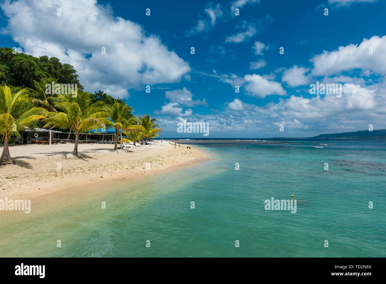 Beach with palm trees, sunny tropical Efate island, Vanuatu Stock Photo ...