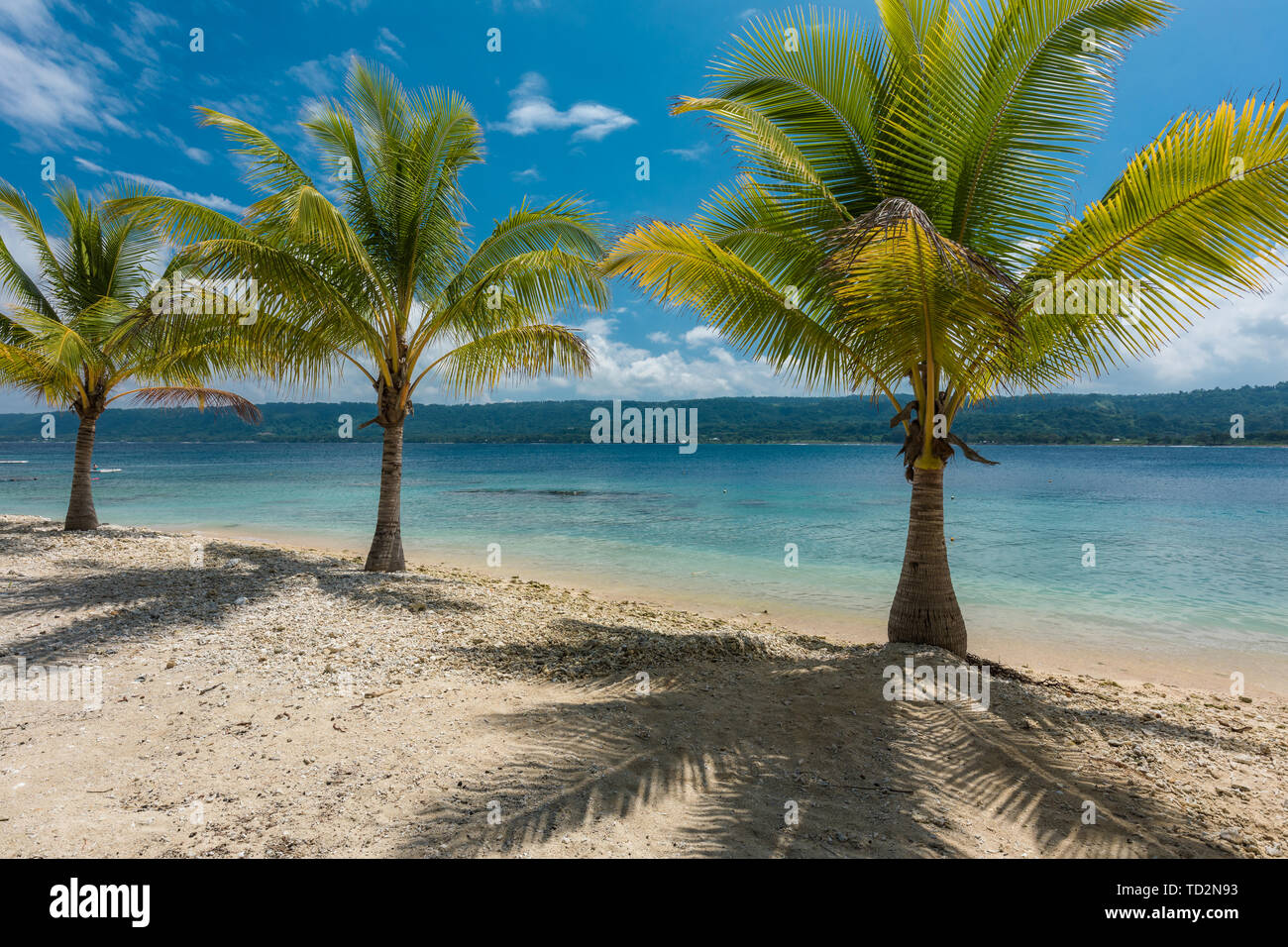 Beach with palm trees, sunny tropical Efate island, Vanuatu Stock Photo ...