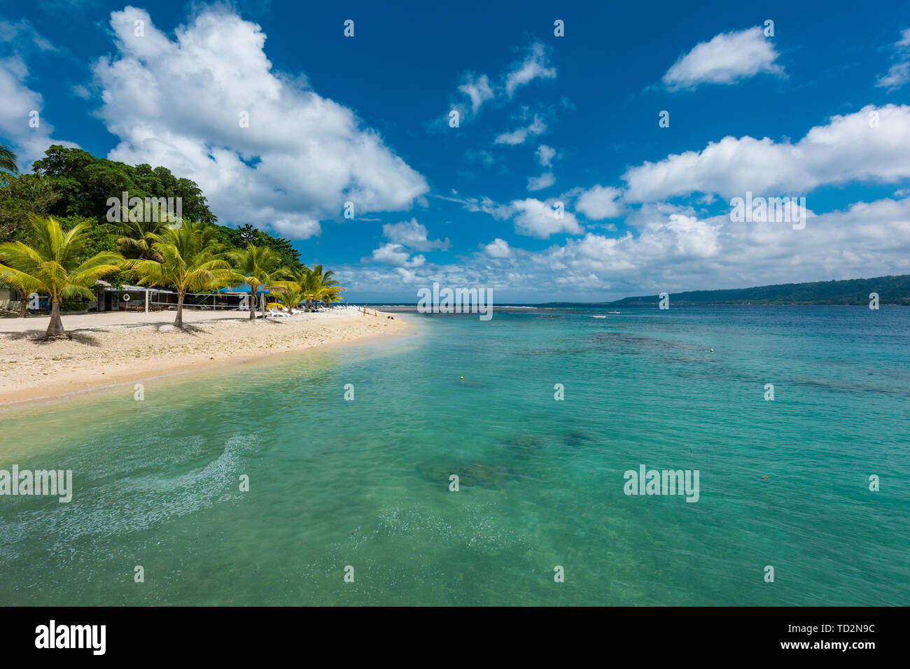 Beach with palm trees, sunny tropical Efate island, Vanuatu Stock Photo ...