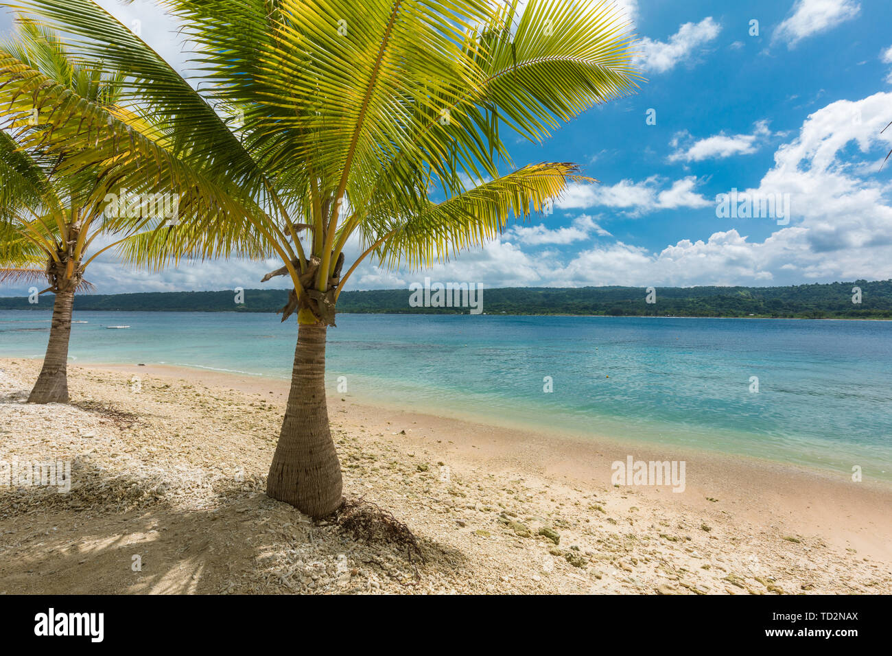 Beach with palm trees, sunny tropical Efate island, Vanuatu Stock Photo ...