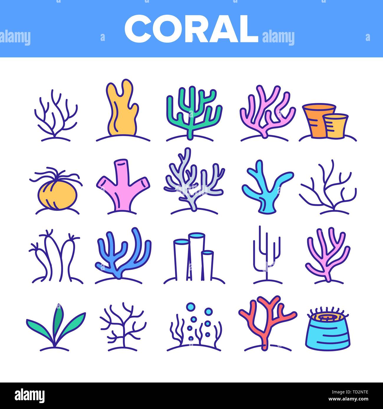 Corals Reefs And Seaweed Vector Linear Icons Set Stock Vector Image ...