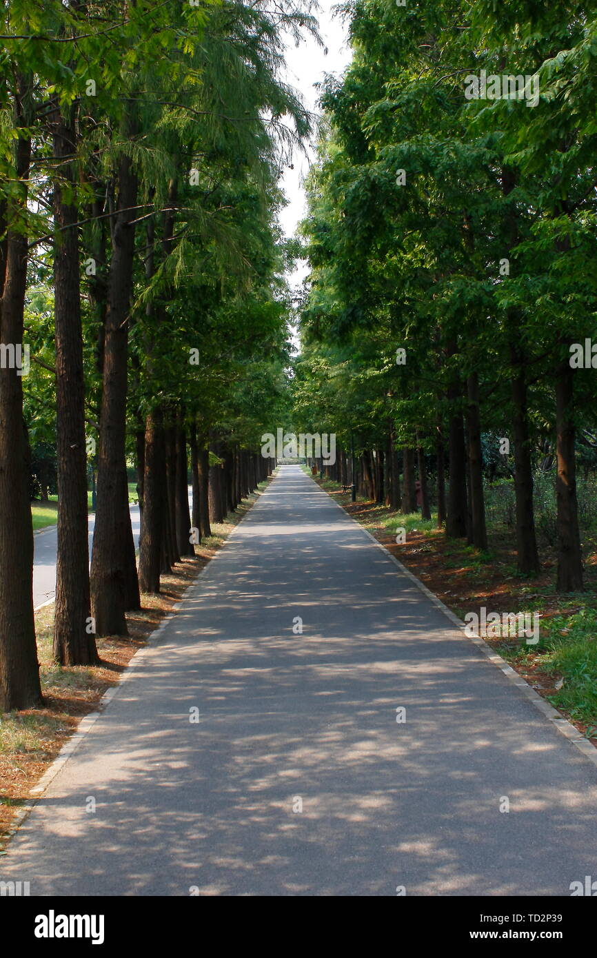 Binjiang park hi-res stock photography and images - Alamy