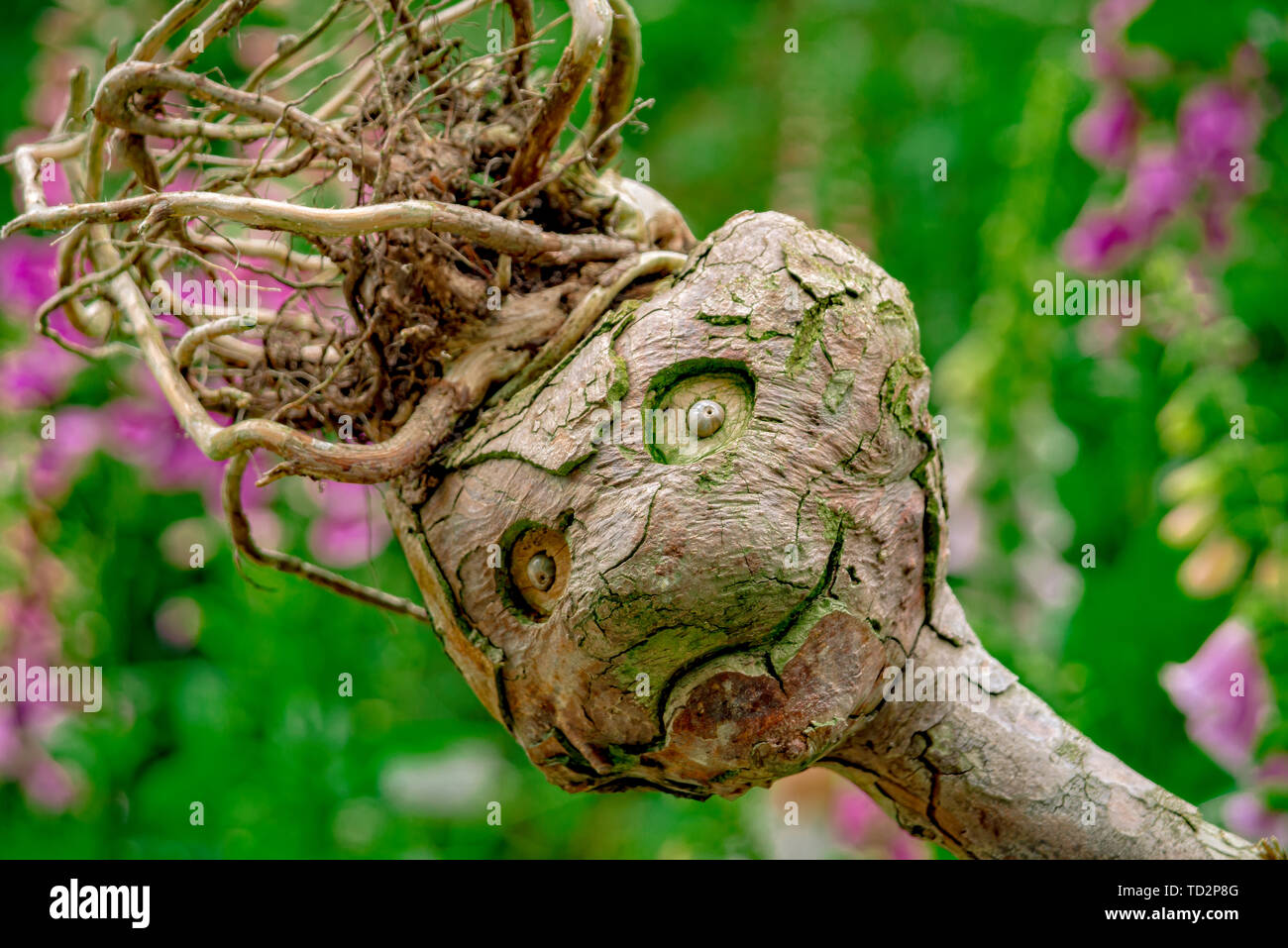 Tree face nose eyes lips hi-res stock photography and images - Alamy