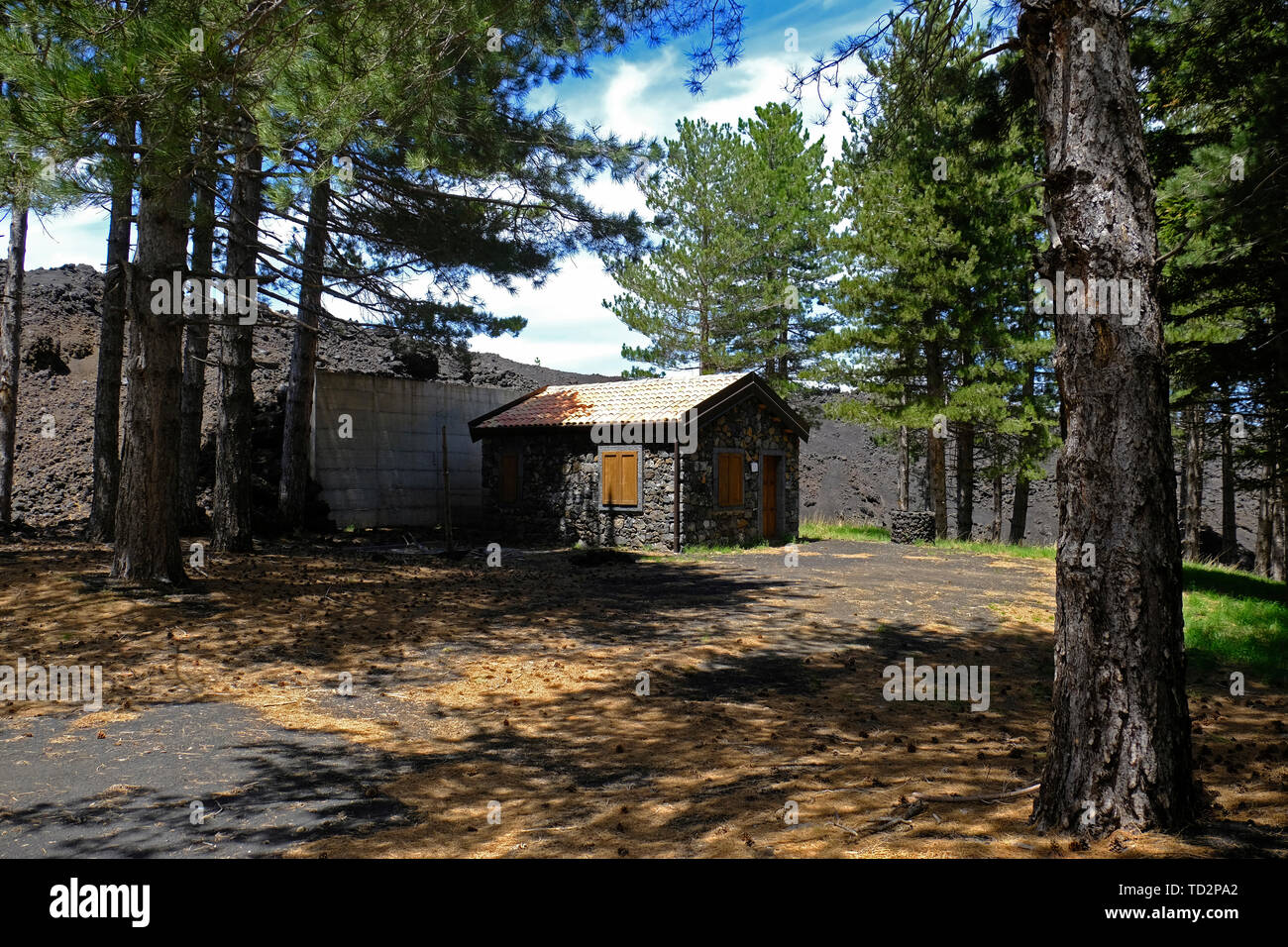 Grape vines olive trees in hi-res stock photography and images - Alamy
