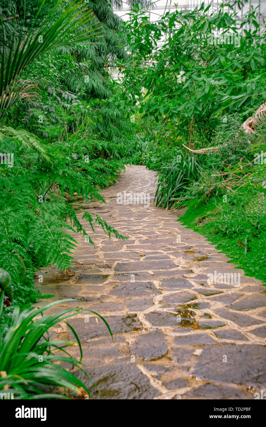 Beautiful wooden pathway meanders hi-res stock photography and images ...