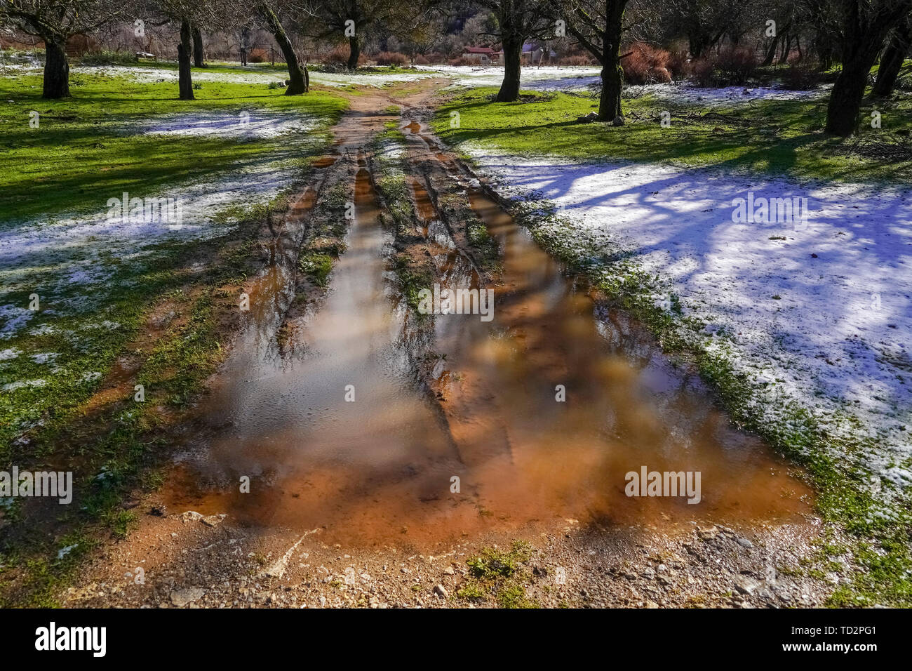 snow, mud and slush on the lawn in a park Stock Photo - Alamy