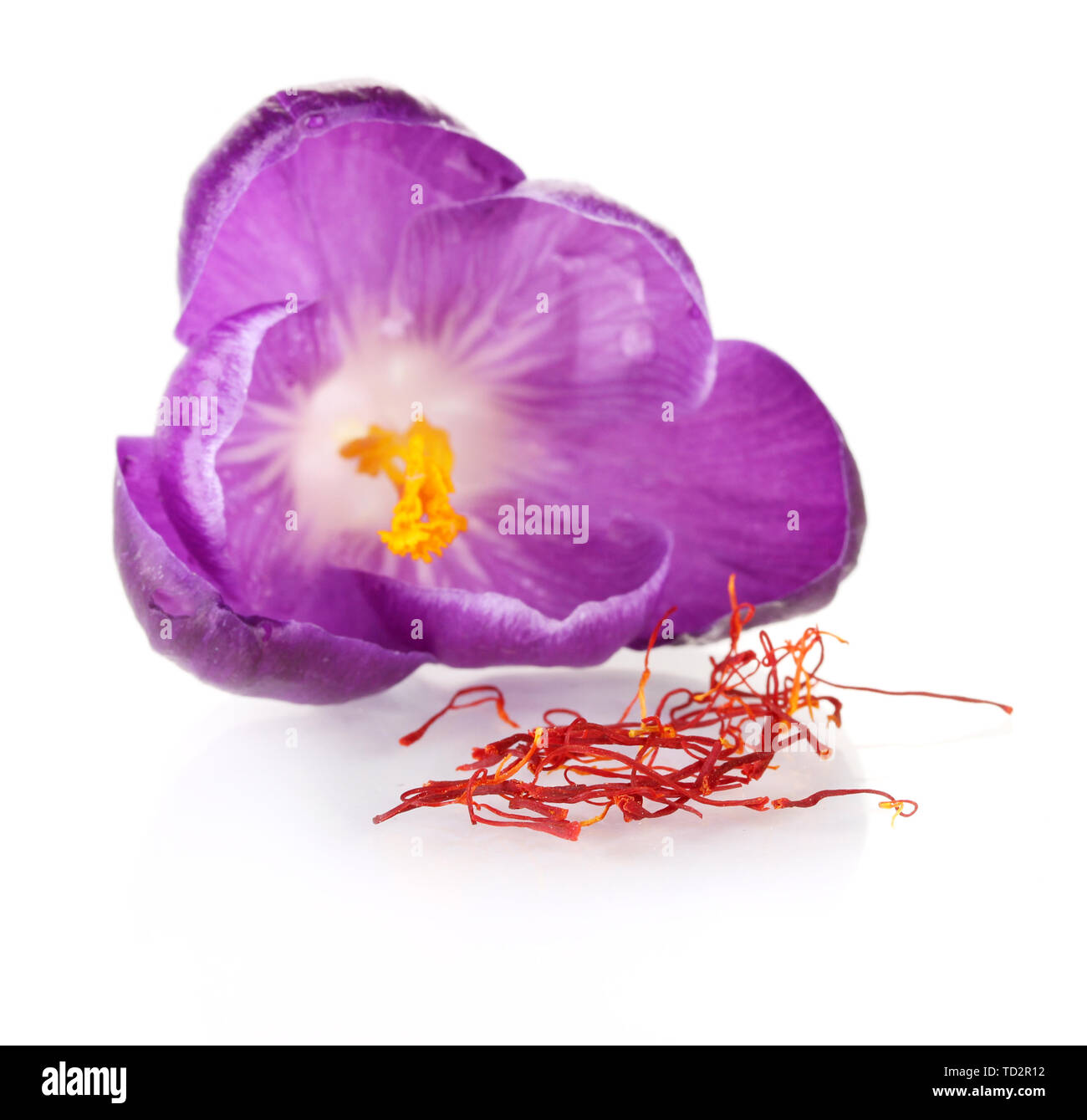 Saffron and purple Cut Out Stock Images & Pictures - Alamy