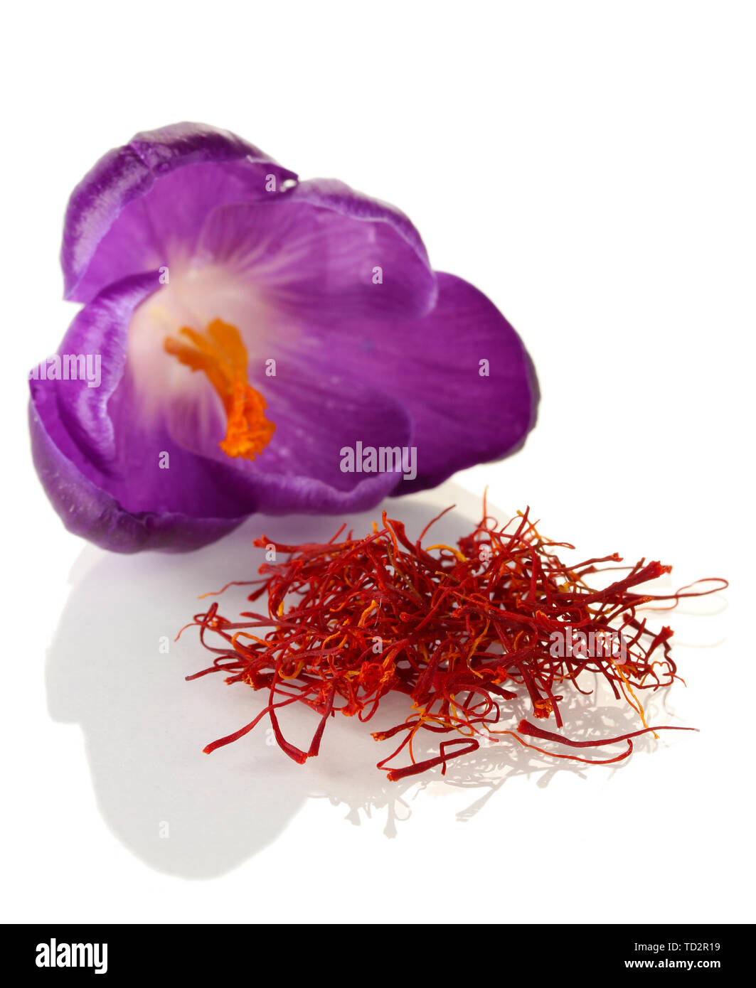Saffron and purple Cut Out Stock Images & Pictures - Alamy
