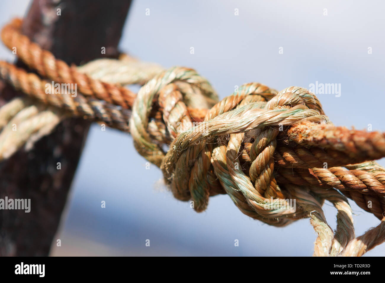 Rope knot hi-res stock photography and images - Alamy