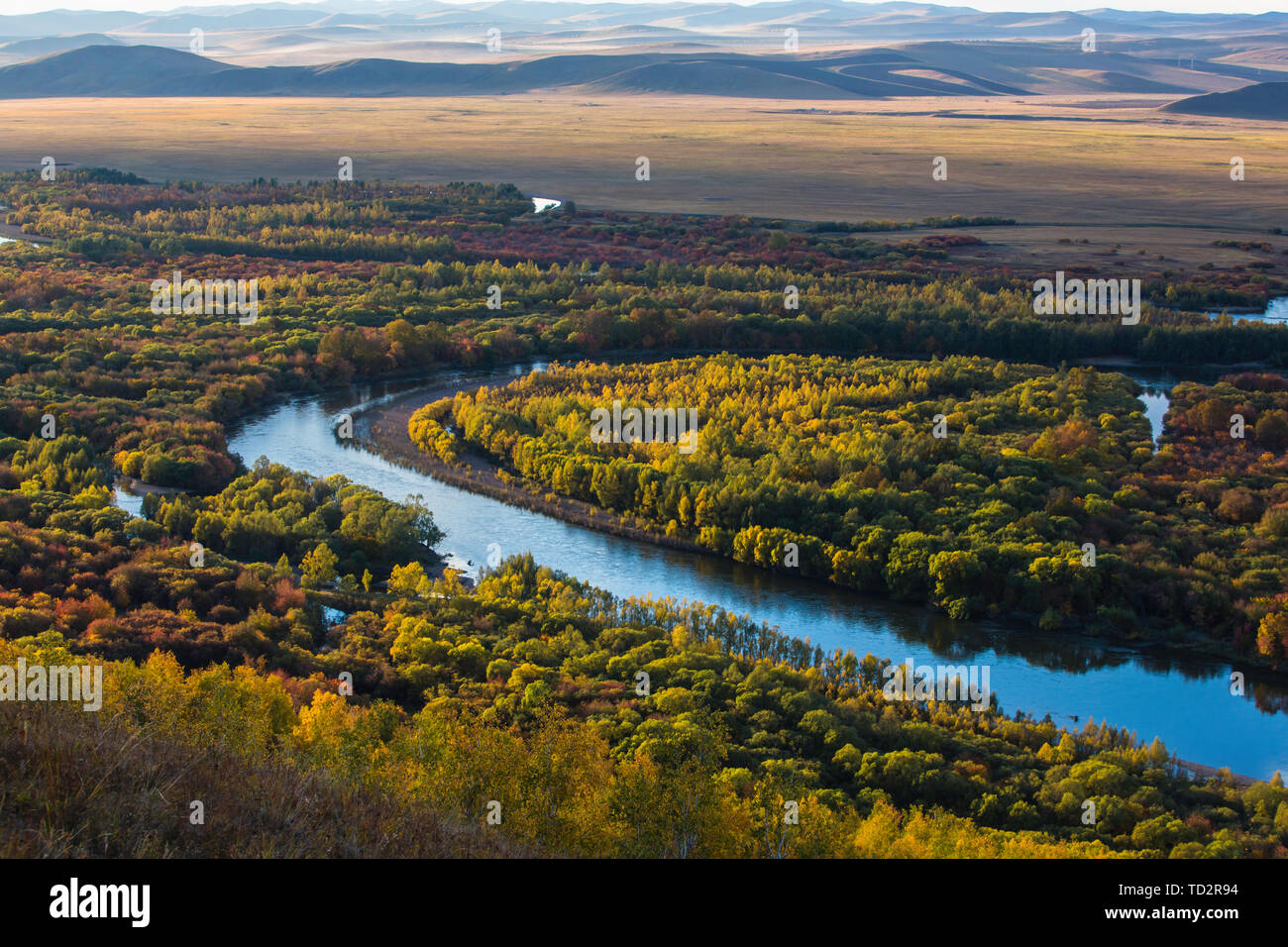 Erguna Wetland is known as the largest wetland in Asia, a golden and ...