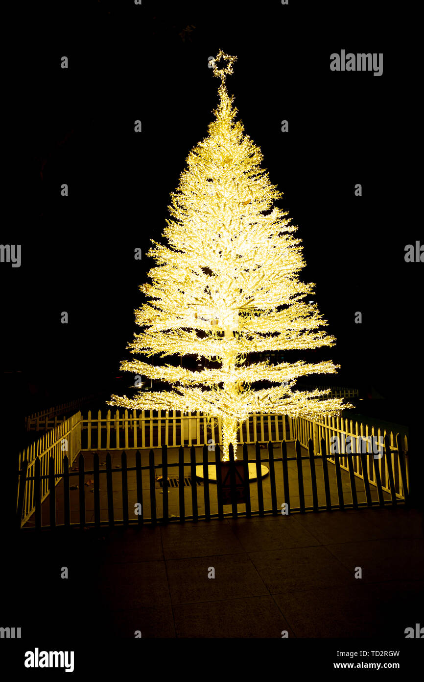 Tree at night photography hi-res stock photography and images - Alamy