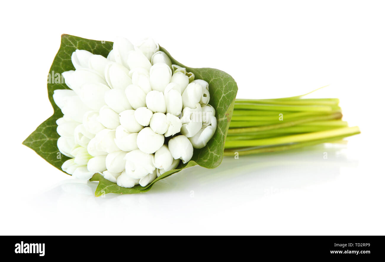 Bouquet of snowdrop flowers, isolated on white Stock Photo - Alamy
