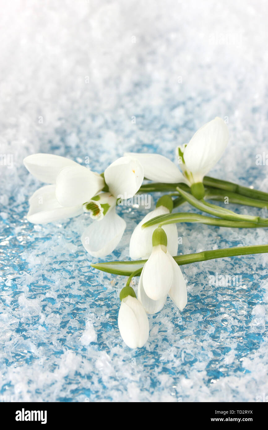 Snow drop bouquet hi-res stock photography and images - Alamy