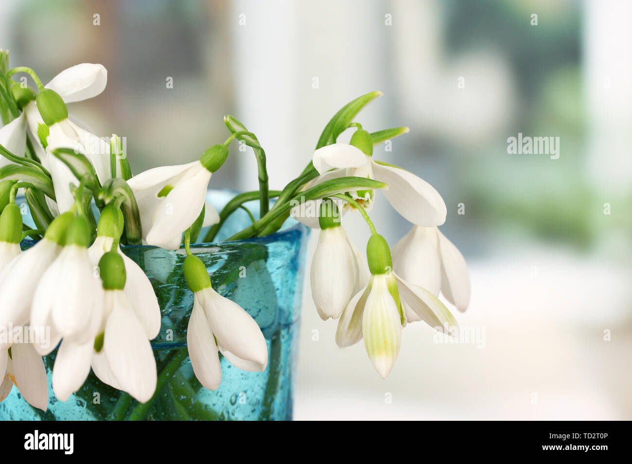 Bouquet of snowdrop flowers in glass vase, on bright background Stock ...