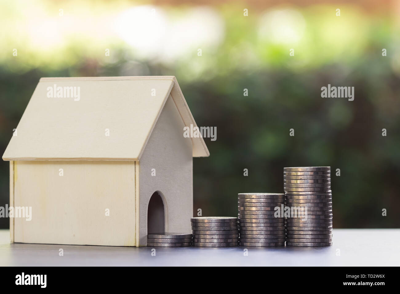 Property investment and home financial mortgage concept. The money ...