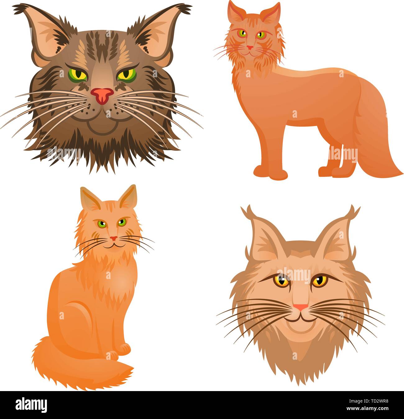 Maine coon icons set. Cartoon set of maine coon vector icons for web ...