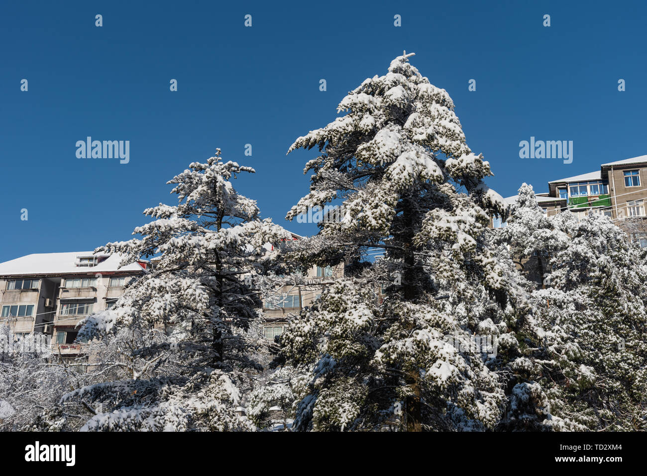 Kuling lushan hi-res stock photography and images - Alamy