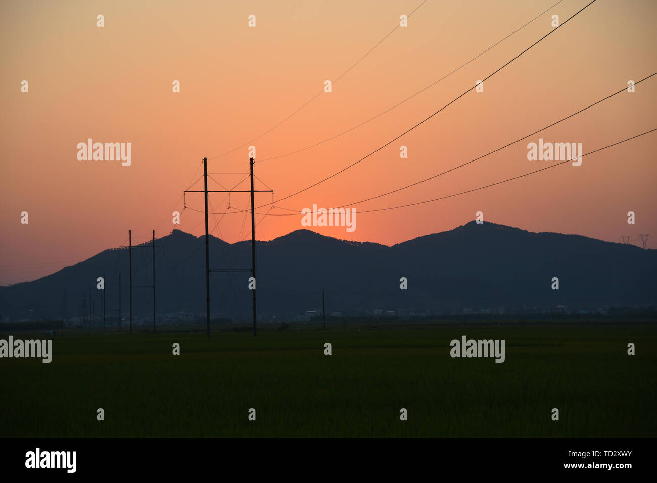 Telegraph pole at sunset Stock Photo - Alamy