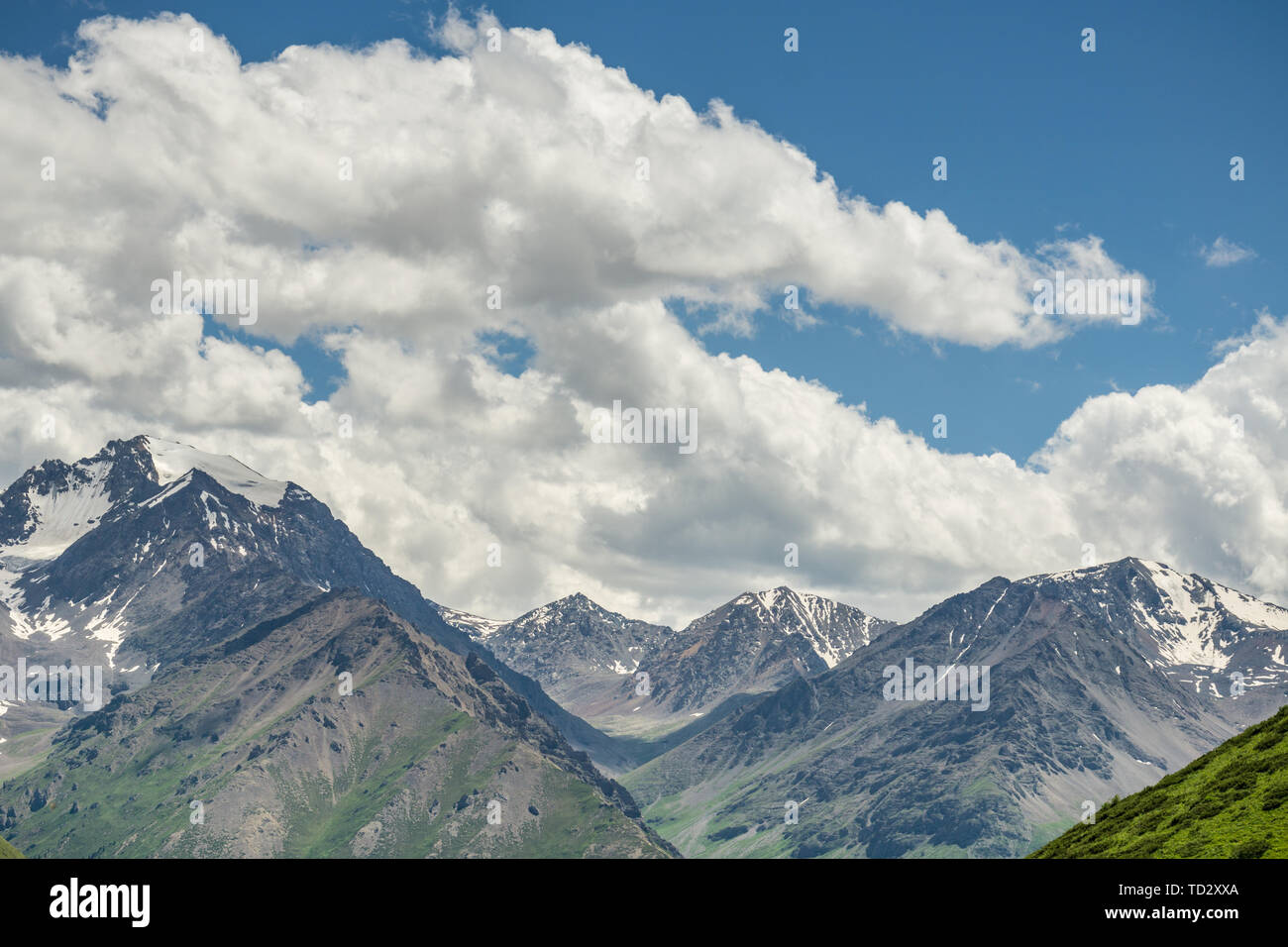 Alpine grasslands along the G217 Duku Highway under the summer blue sky ...