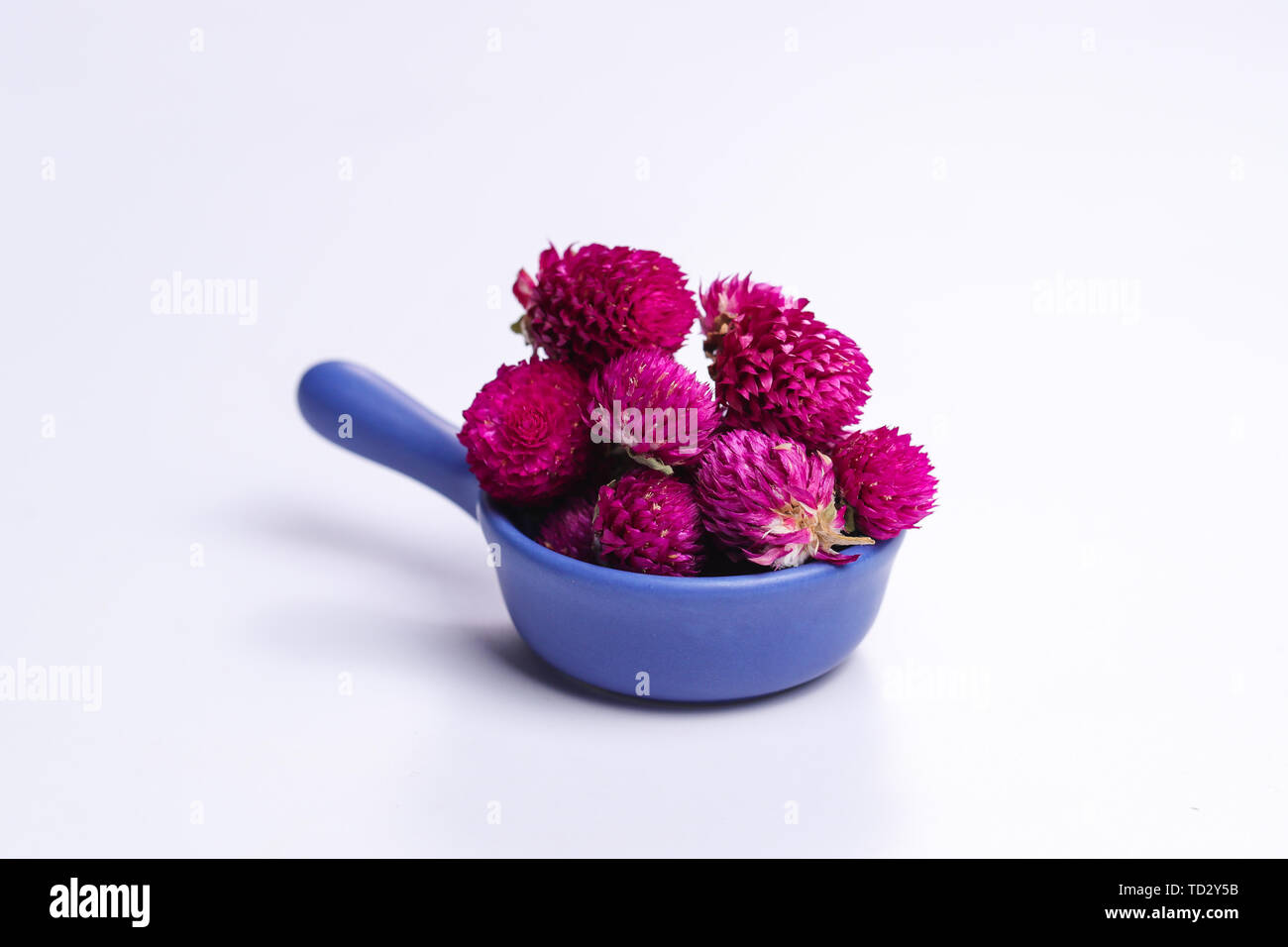 Thousand-day red flower tea Stock Photo - Alamy