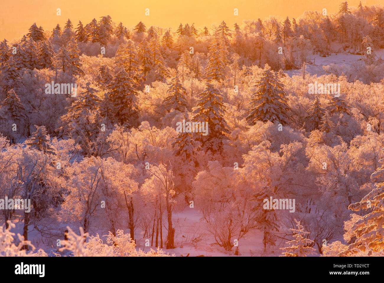 Big bald mountain in heilongjiang hi-res stock photography and images ...