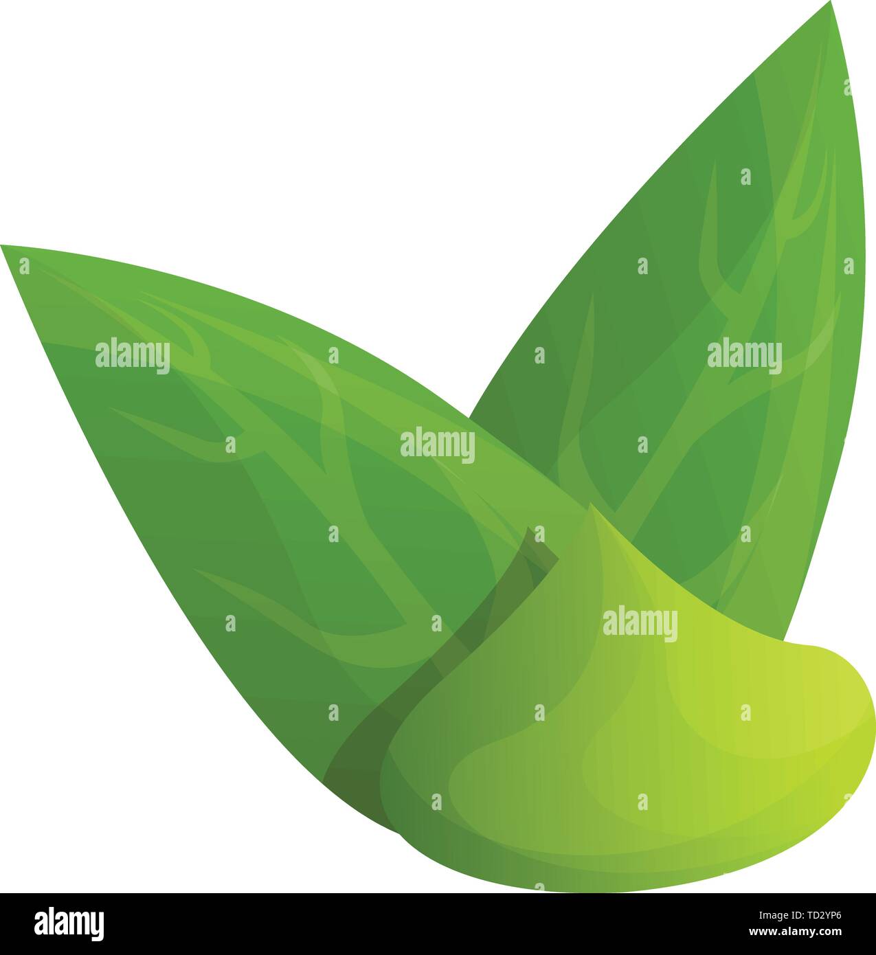 Matcha tea leaf icon. Cartoon of matcha tea leaf vector icon for web ...
