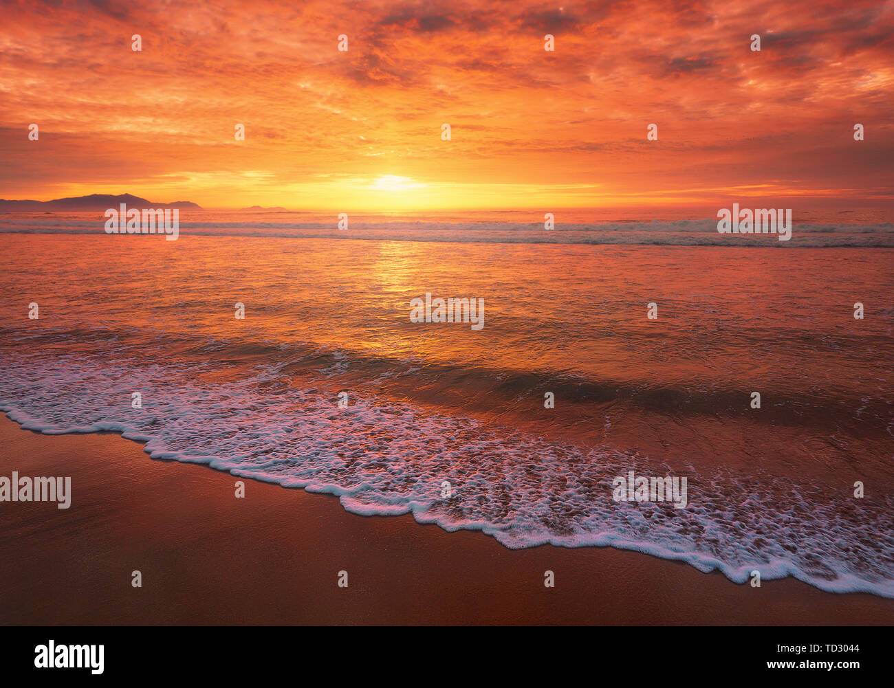 beautiful red sunset on beach with a wave on the shore Stock Photo - Alamy