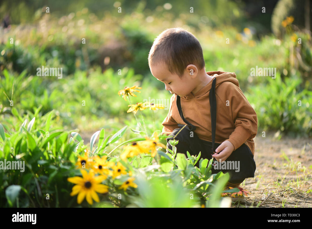 Little boy in the bushes Stock Photo - Alamy